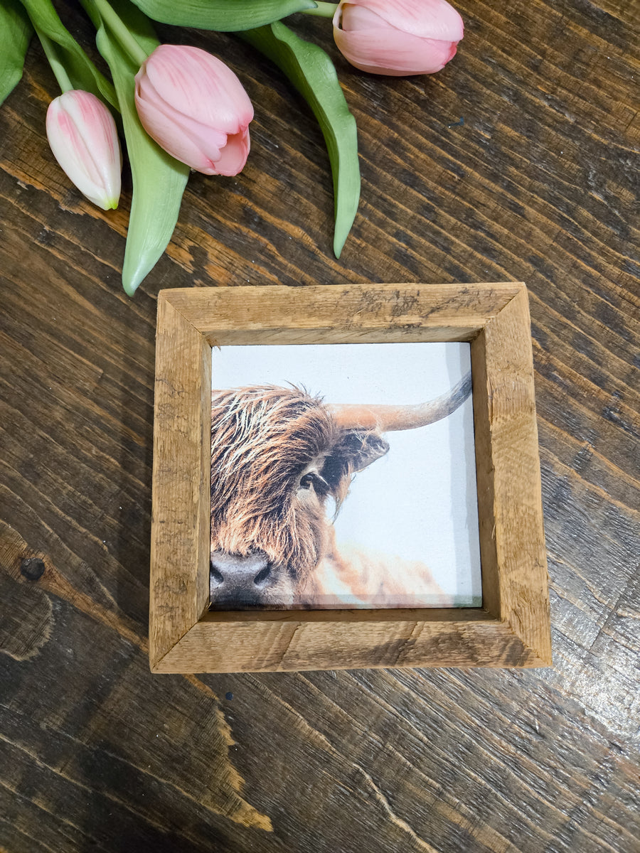 4x4 Sublimated Highland cow face sign – Finders Keepers Brantford Shop