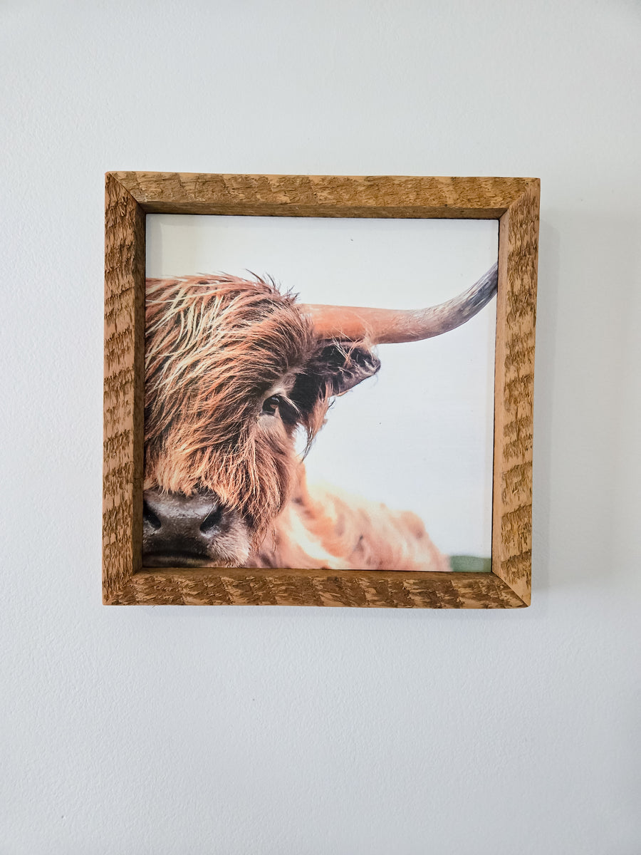 9x9 Sublimated Highland cow face sign. – Finders Keepers Brantford Shop